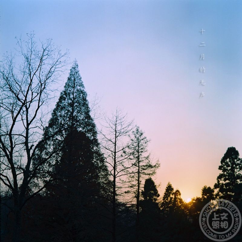 Купить Fujifilm pro 160 НС 120/12exp профессиональная пленка ...