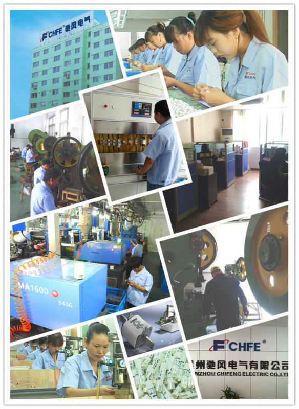 DII Screw 16 Amp Fuses E27 Fuse - High Breaking Capacity