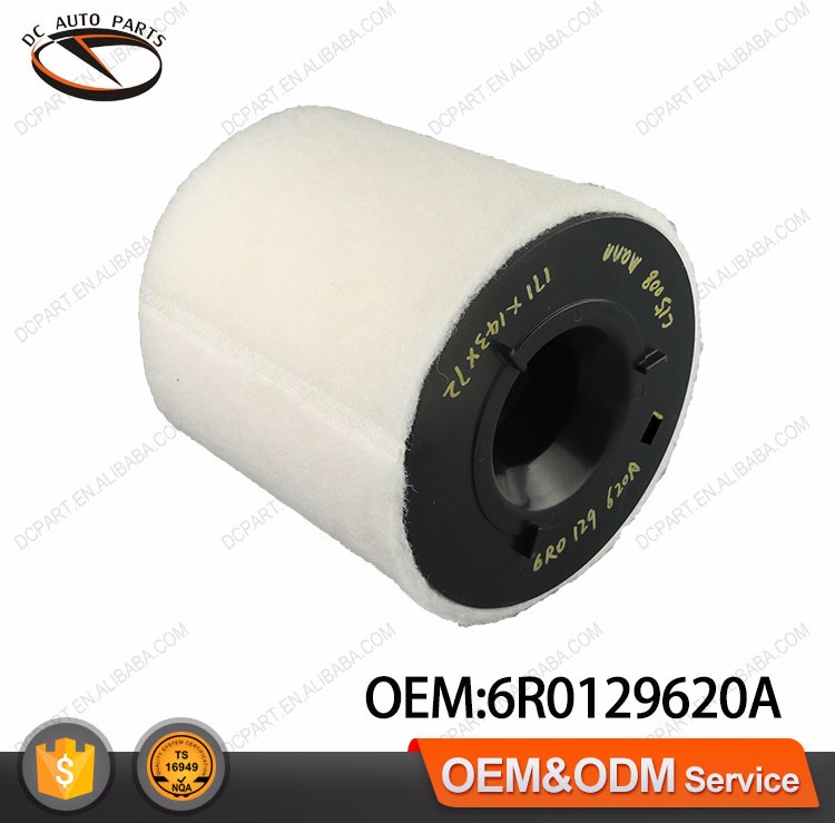 Auto Filter Air Intake Filter For Audi Vw 6r0129620a - Buy Auto Filter ...